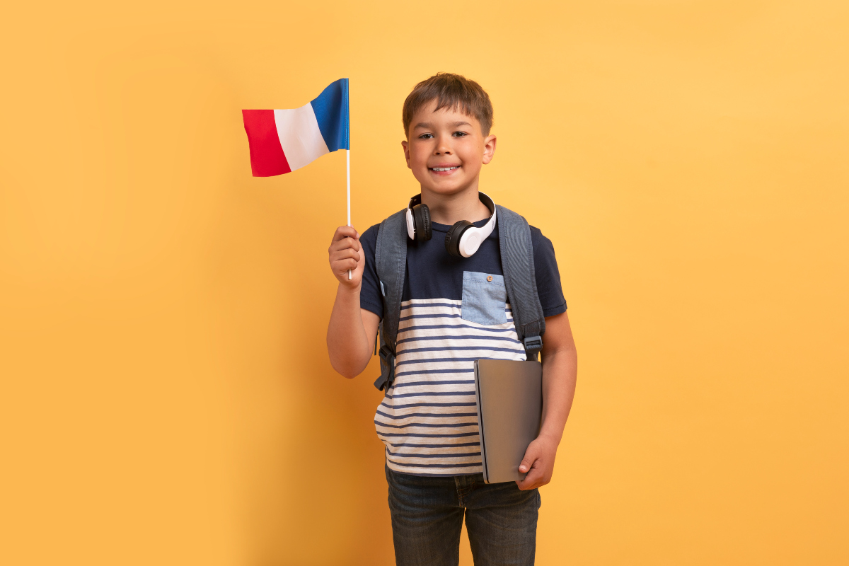 Limba Franceza : pregatire pentru obtinerea diplomei DALF sau DELF ...
